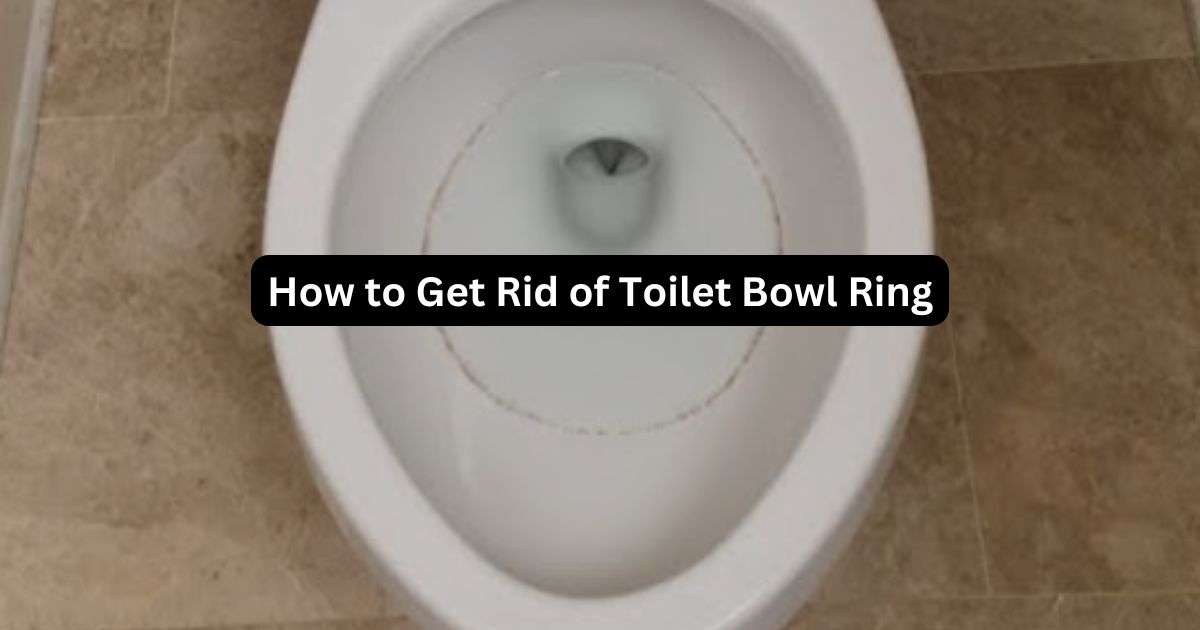How to Get Rid of Toilet Bowl Ring - Home Plumbing Solutions